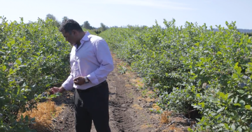 Our Growers • Silver Valley Farms